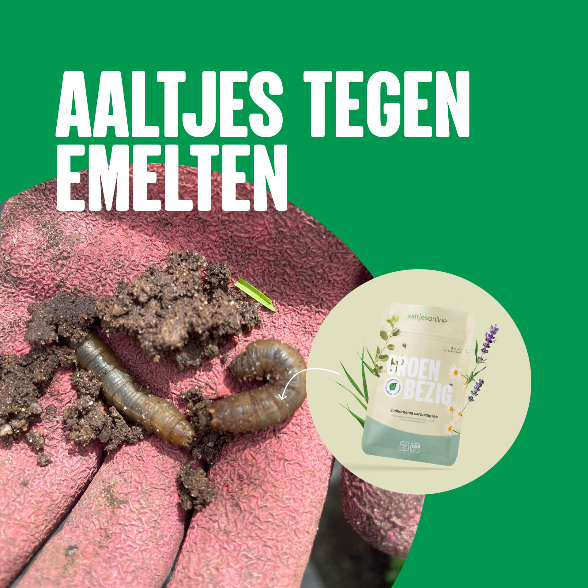 Aaltjes tegen emelten kopen - 100% Biologisch - Aaltjesonline