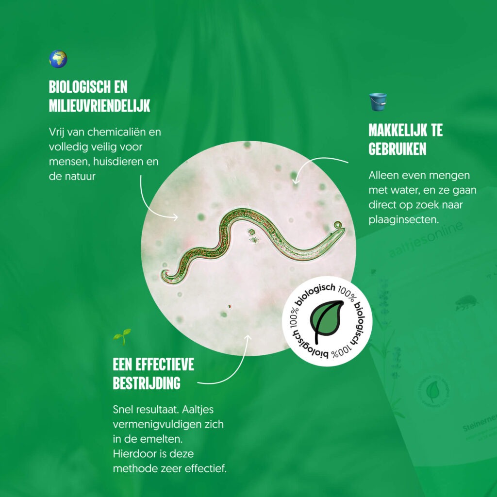 Aaltjes tegen emelten kopen - 100% Biologisch - Aaltjesonline